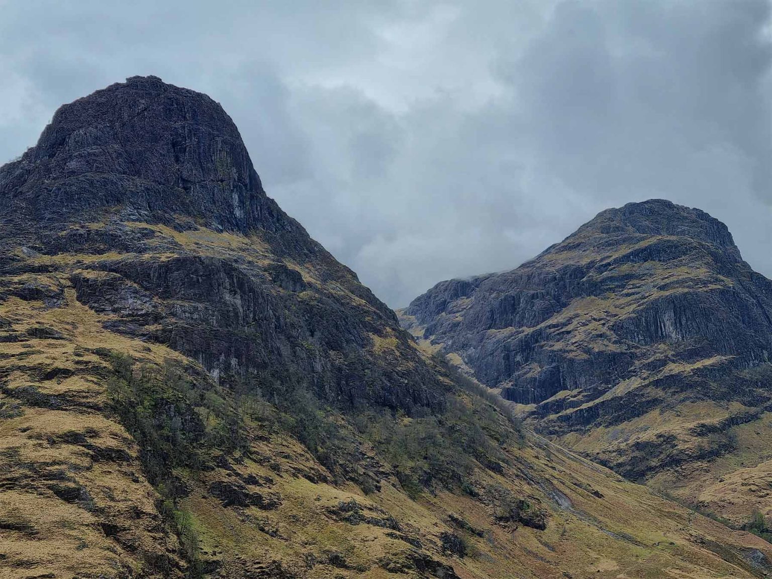 Gallery - The Wee Neuk